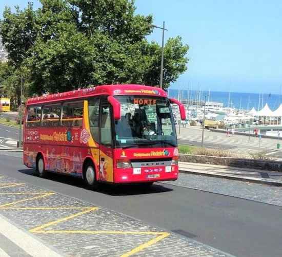 10 Local things to do in Funchal | Madeira Island Travel Tips