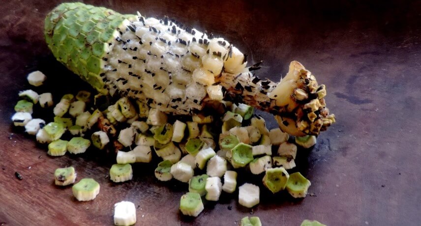 25 Fruits of Madeira Island