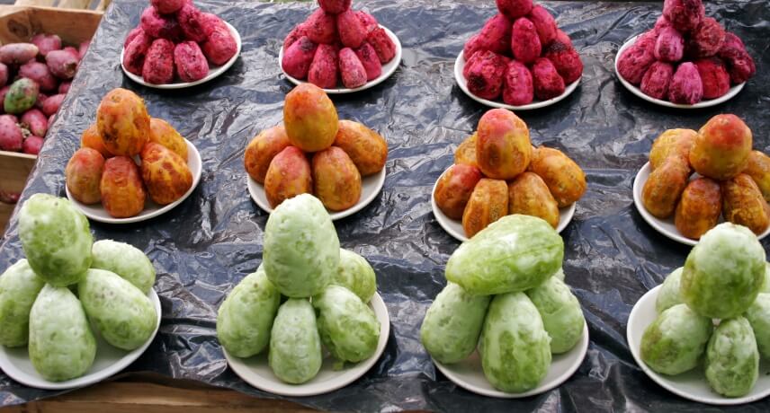 25 Fruits of Madeira Island