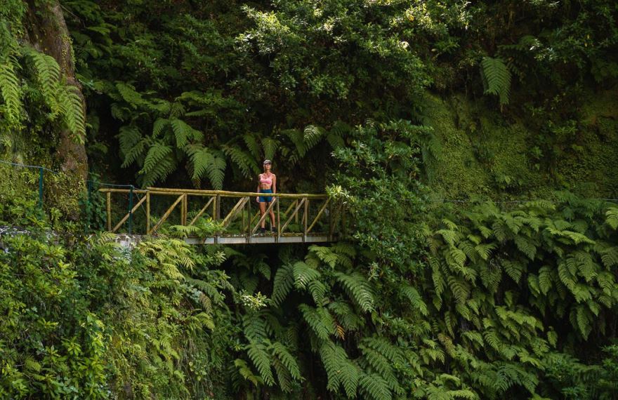 FANAL. Locais de que deve Visitar na Ilha da Madeira