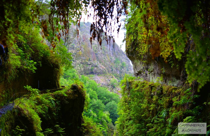 FAIAL- SANTANA. Places you must visit on Madeira Island