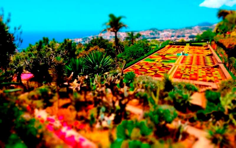 Visiting Madeira in April - An Easter Break | Things to Do & See