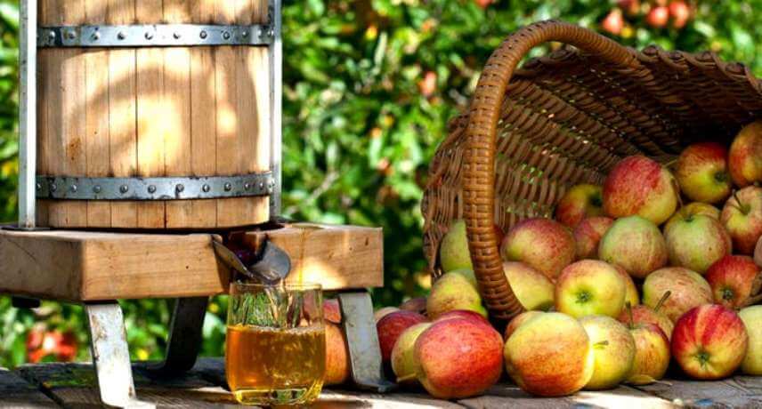 Madeira Cider Recipe