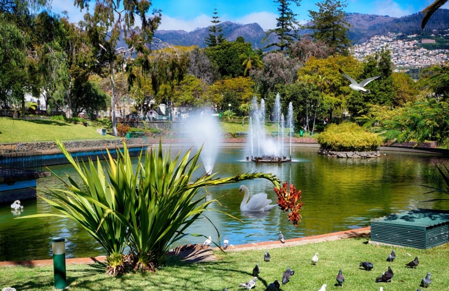 SANTA CATARINA PARK. Places you must visit on Madeira Island