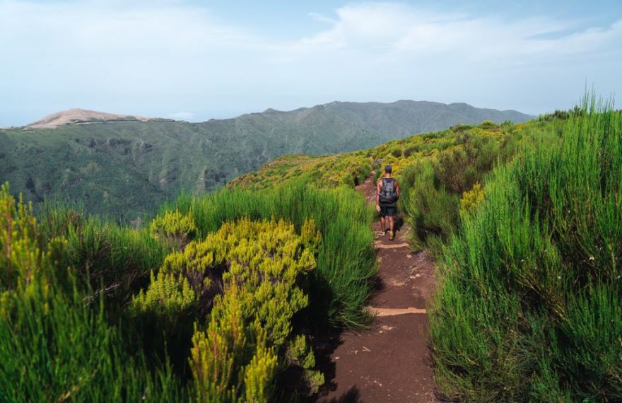 FANAL. Places you must visit on Madeira Island